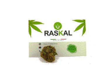 🥇 AK 47 weed 🌿 | Marijuana Legale da Raskal Shop